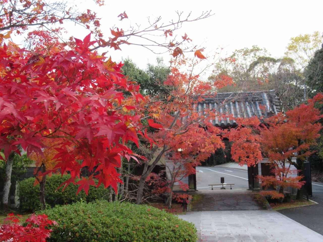 京都散策 「京都の秋」4: 資料の京都史蹟散策