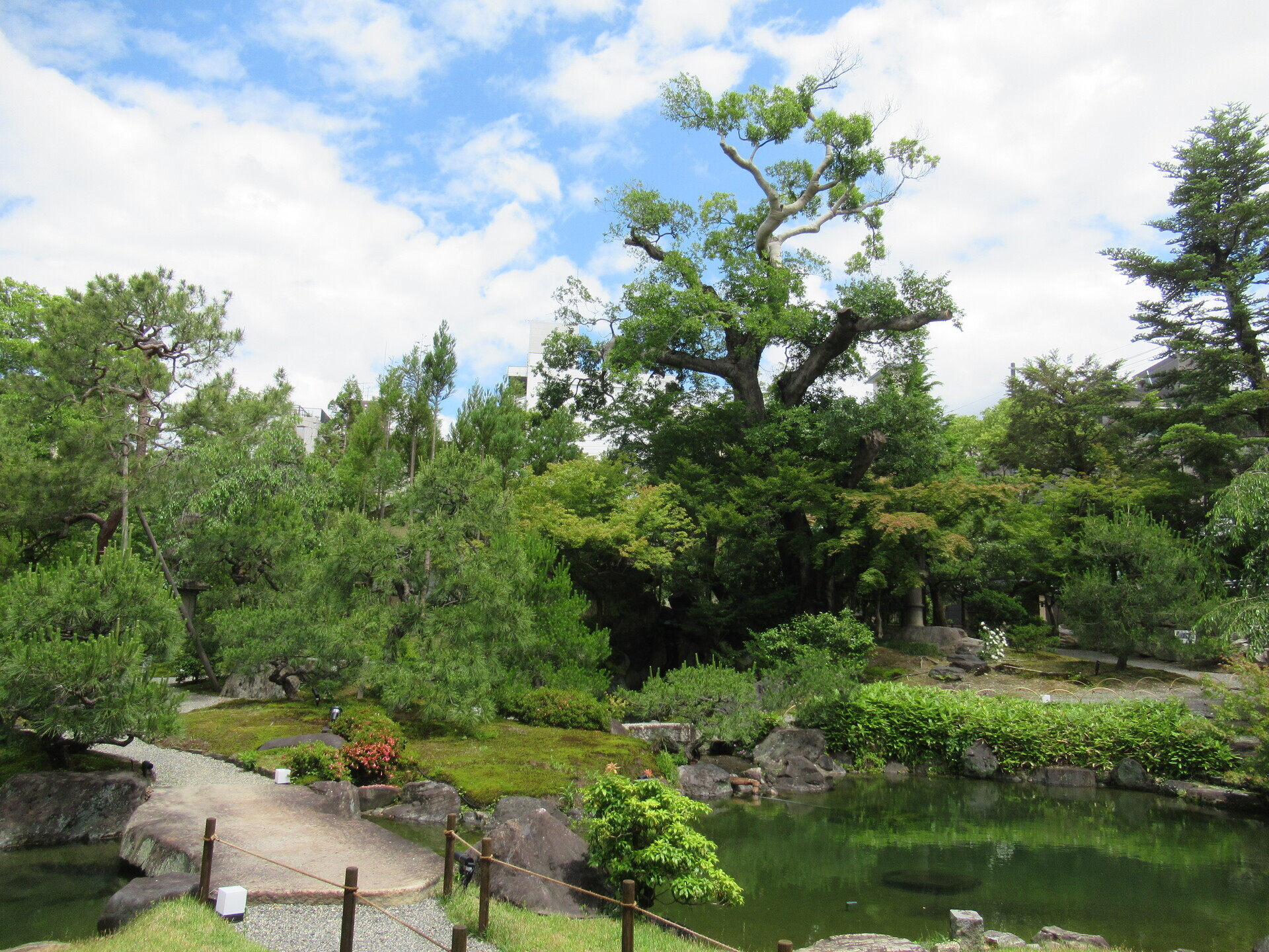 京都史蹟散策223-5・祇園花街芸術資料館の全貌5-1 庭園散策1: 資料の京都史蹟散策